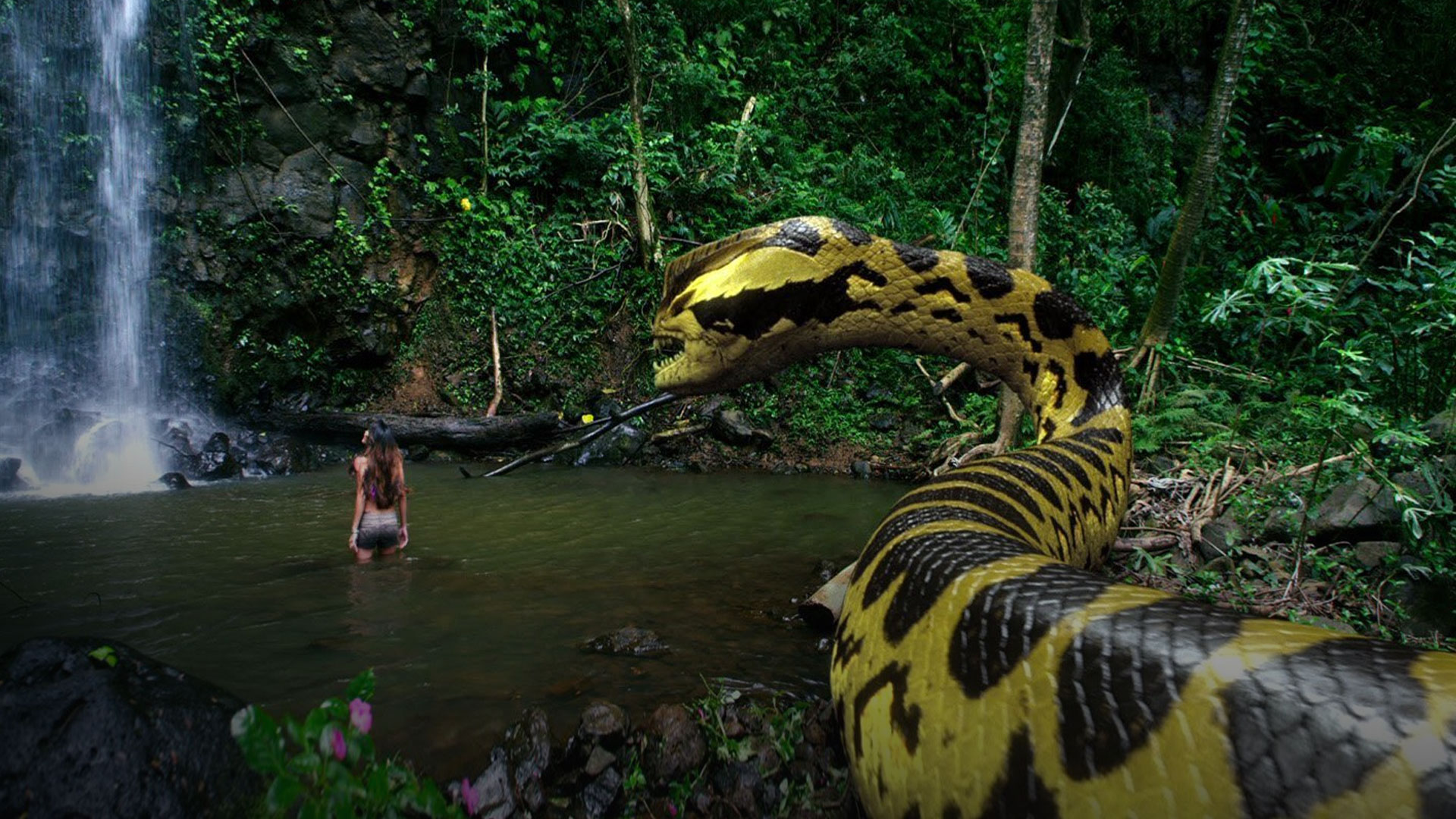 Piranhaconda - USANetwork.com