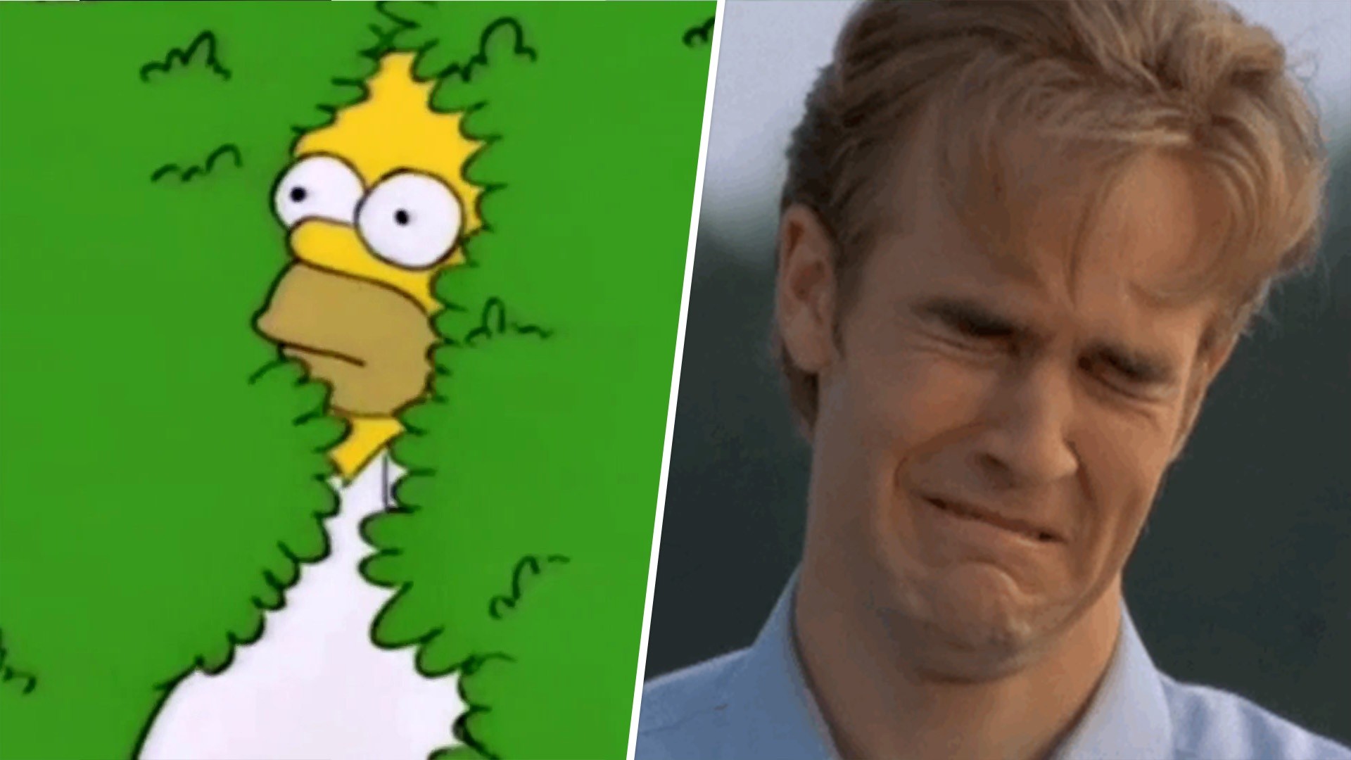 Watch TODAY Excerpt: New trends point to GIFs becoming a thing of the ...