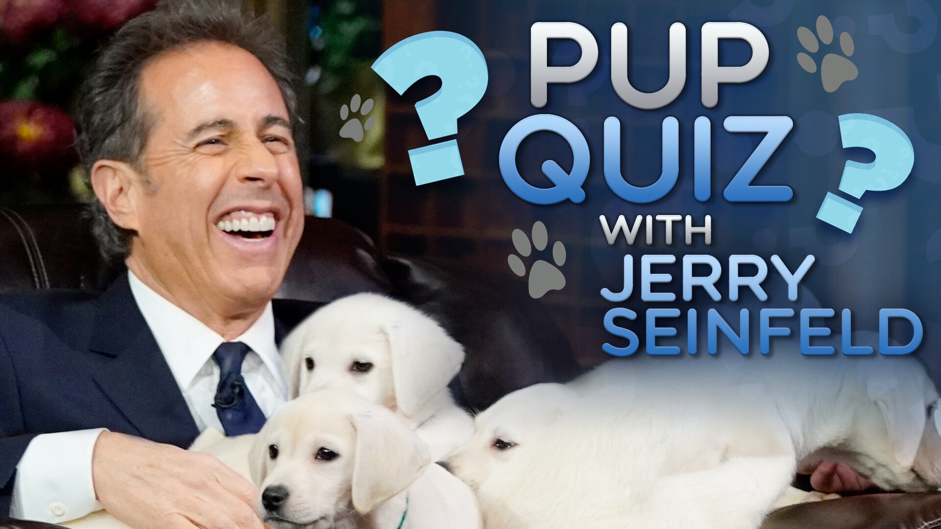 Watch The Tonight Show Starring Jimmy Fallon Highlight: Pup Quiz with ...